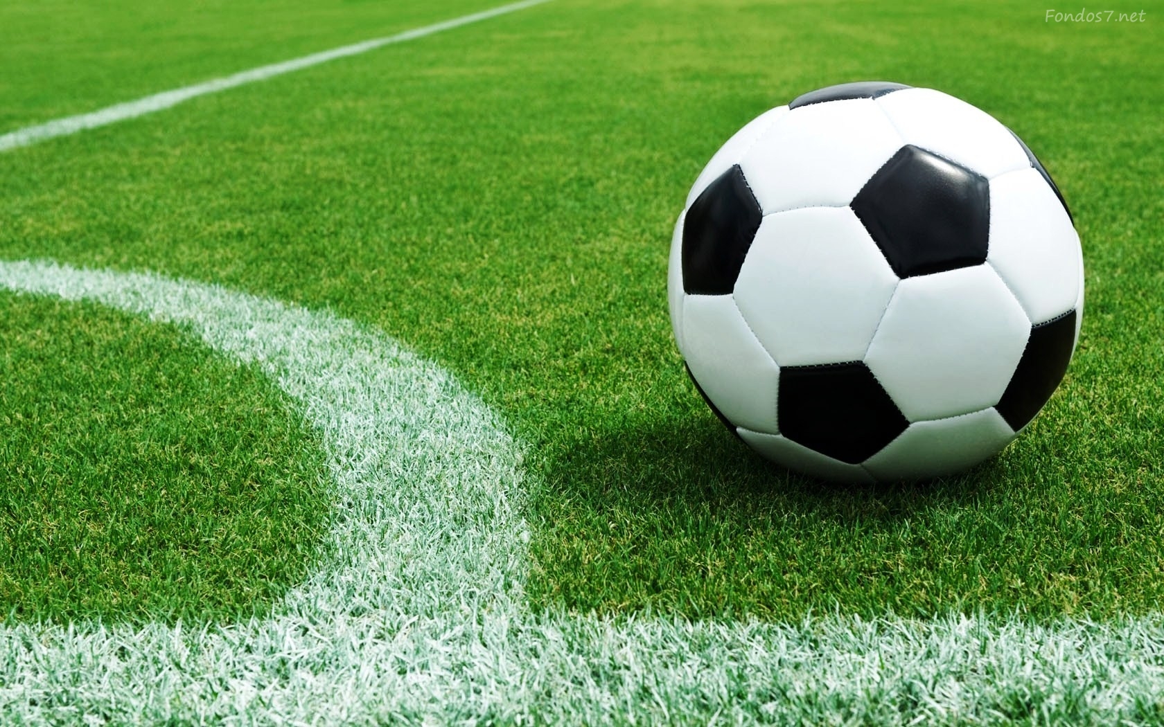 Importancia Mundo Del Futbol